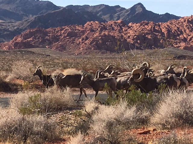 Home | American Tour Guide Association